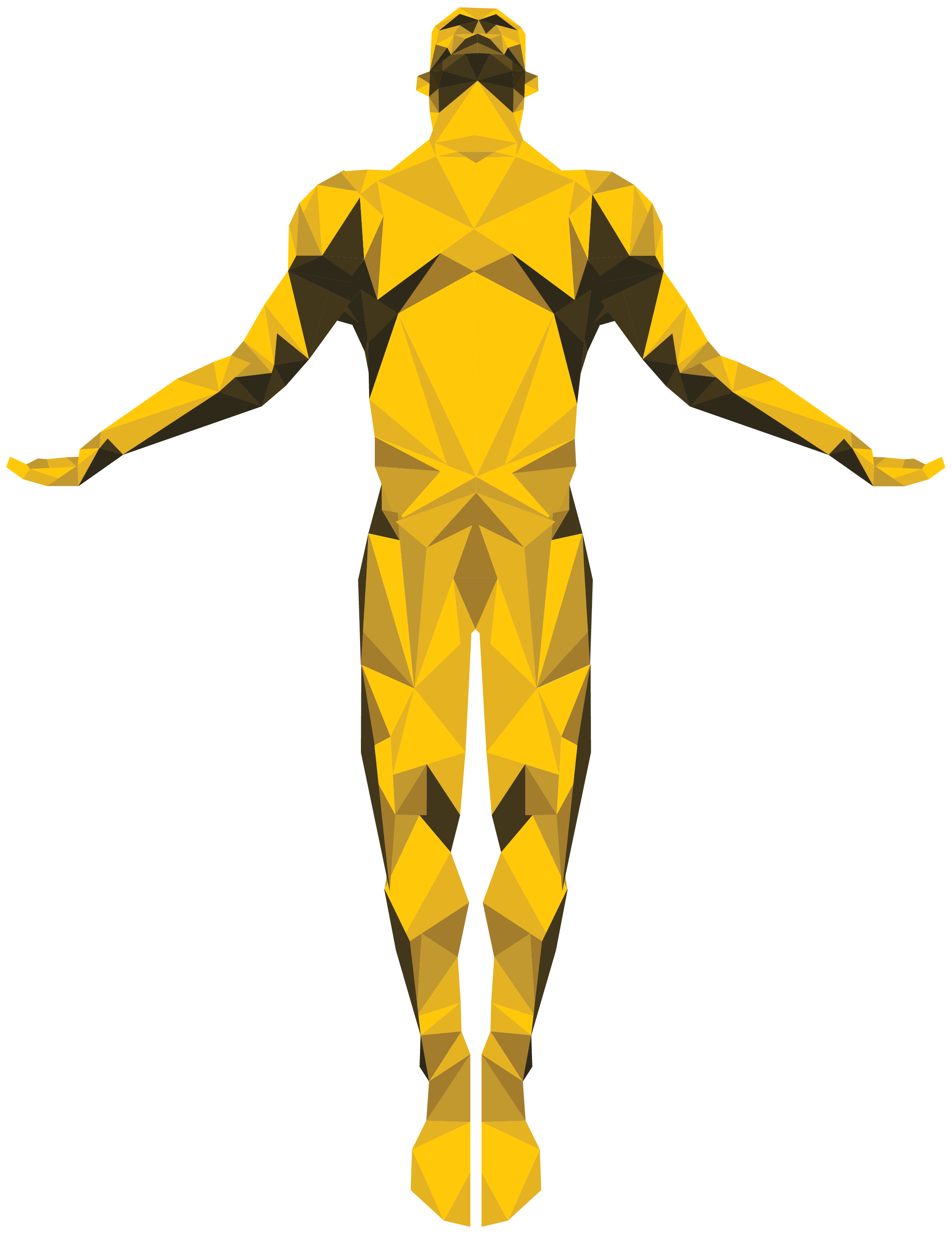 Workshop Confirmed – Evolution Daily